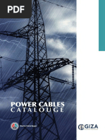 Philflex Brochure-2024 | PDF