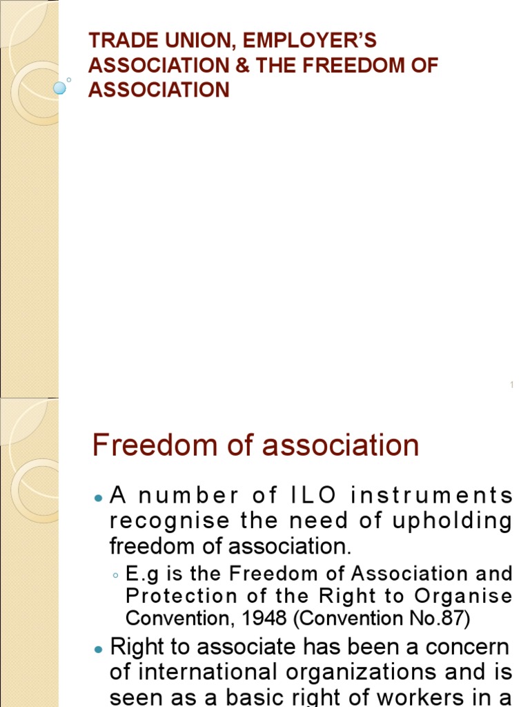 Trade Unions and Employers Associations | PDF | International Labour ...