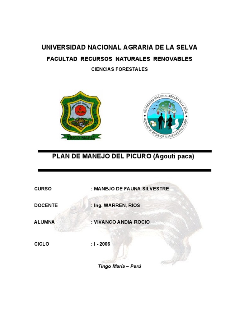 Plan de Manejo Del Picuro (Agouti Paca) | PDF | Roedor | zoo