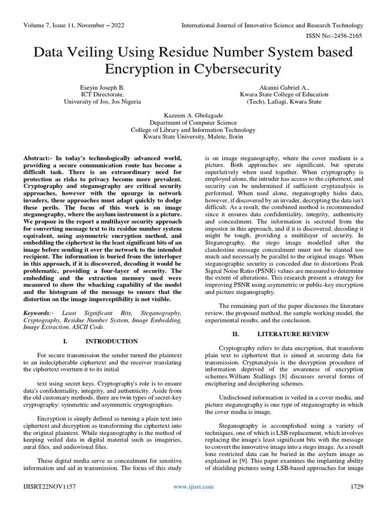 Data Veiling Using Residue Number System Based Encryption In