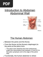 Anatomy of Forehead, Glabellar, Nasal and Orbital Muscles | PDF | Soft ...