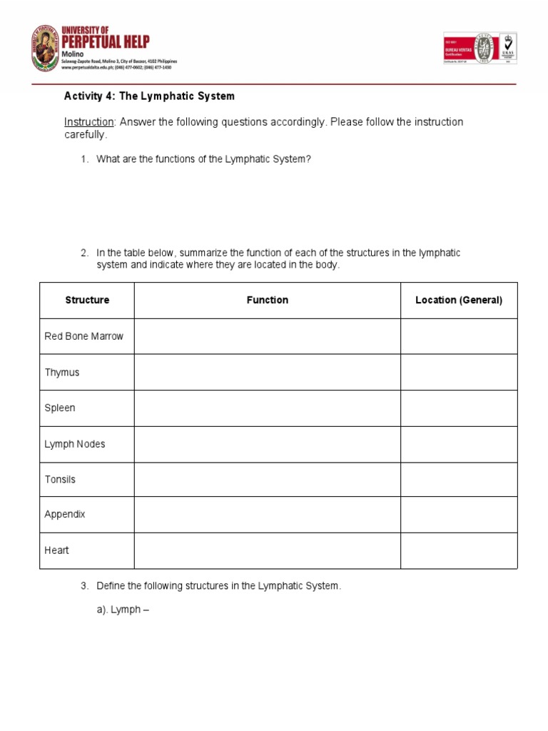 Activity 4 Anatomy and Physiology | PDF | Lymphatic System | Lymphocyte