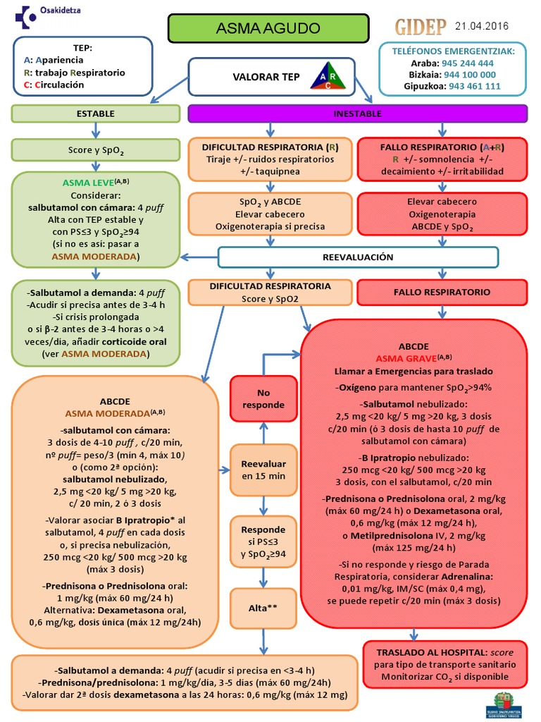 GIDEP 24 Asma Agudo V2 2016 04 21 | PDF | Cuidado de la salud ...