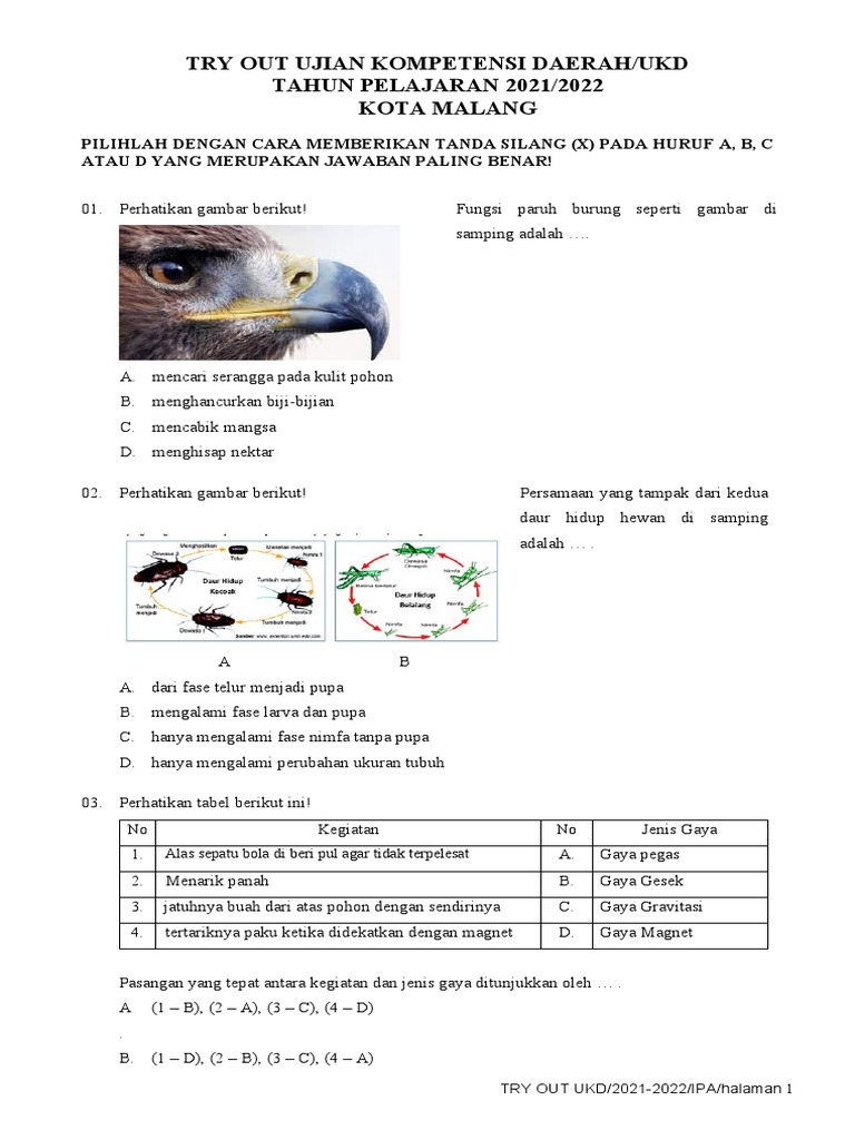 Try Out 2 Ukd Ipa | PDF