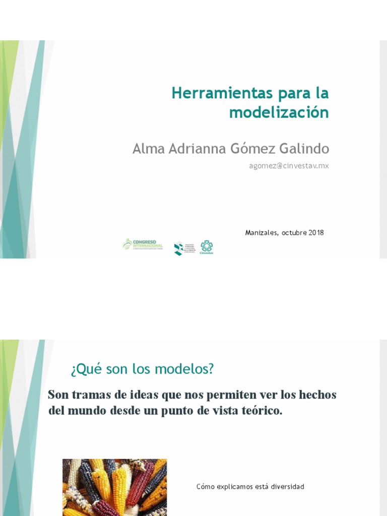 Herramientas para la modelización: Una introducción a los conceptos y ...