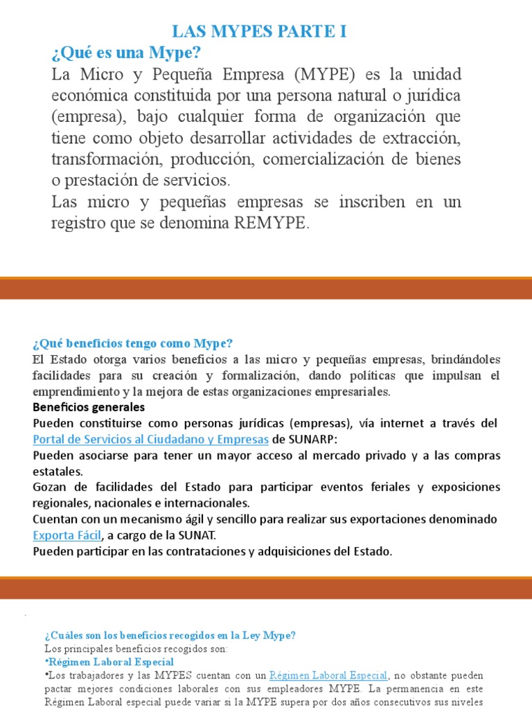 Mypes Parte I | PDF | Pequeñas y medianas empresas | Pensión