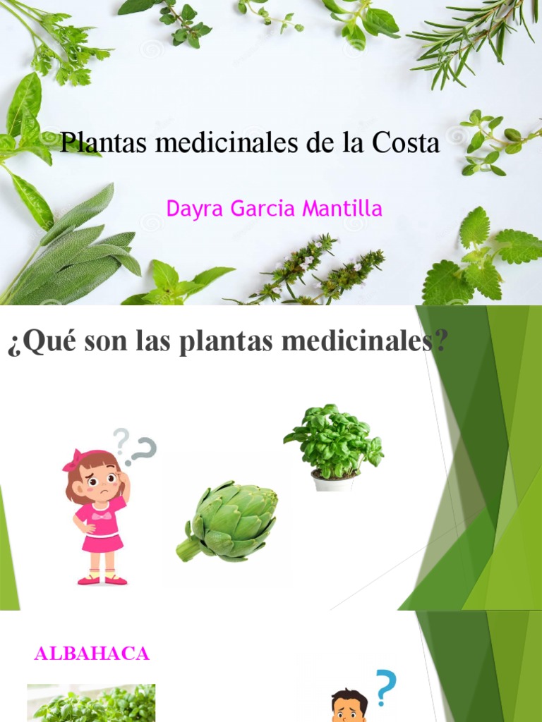 Plantas Medicinales de La Costa | PDF