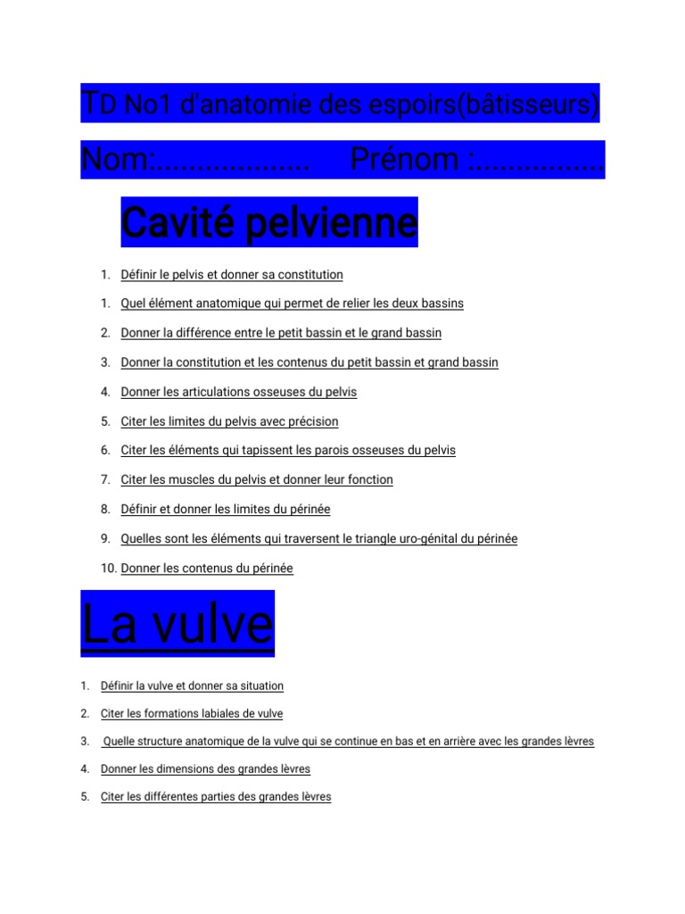 TD No1 D'anatomie Abdallah Ag | PDF | Clitoris | Prostate