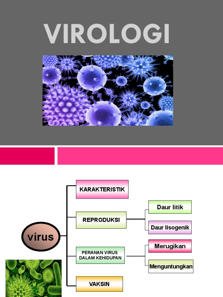 Pertemuan 10 Virologi | PDF