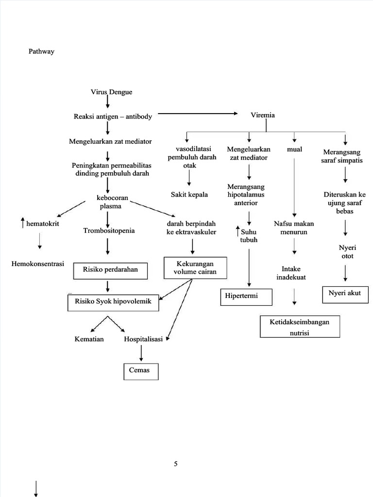 PDF Pathway DHF - Compress | PDF