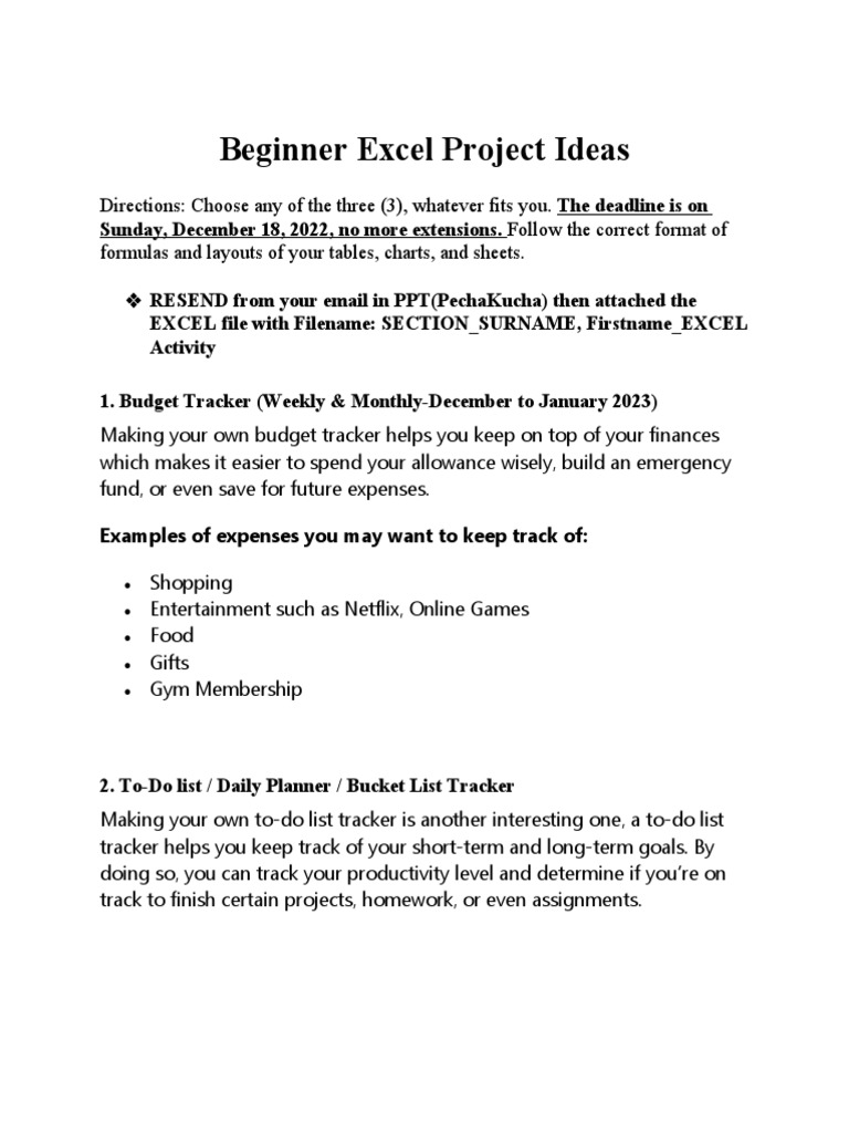 Beginner Excel Project Ideas | PDF