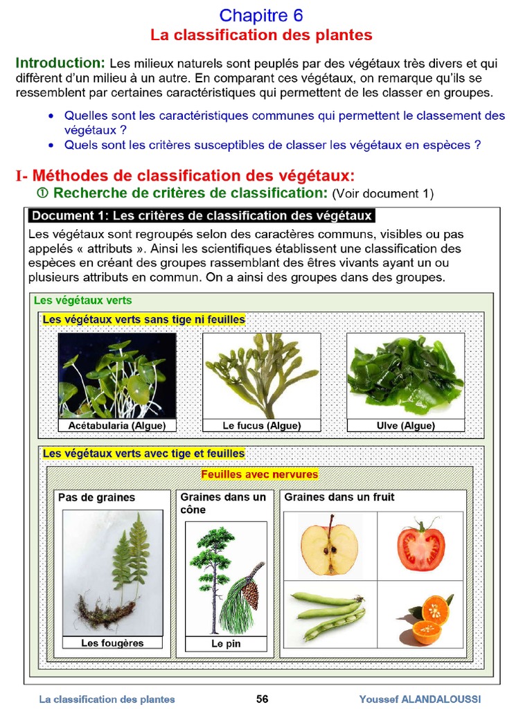 La Classification Des Plantes - TC Sciences | PDF La Classification Des Plantes - TC Sciences | PDF