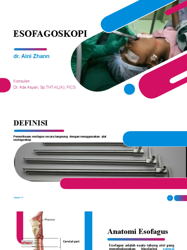 Panduan Lengkap Esofagoskopi | PDF