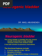 Urodynamics Normal Values Guide | PDF | Urinary Incontinence | Urination