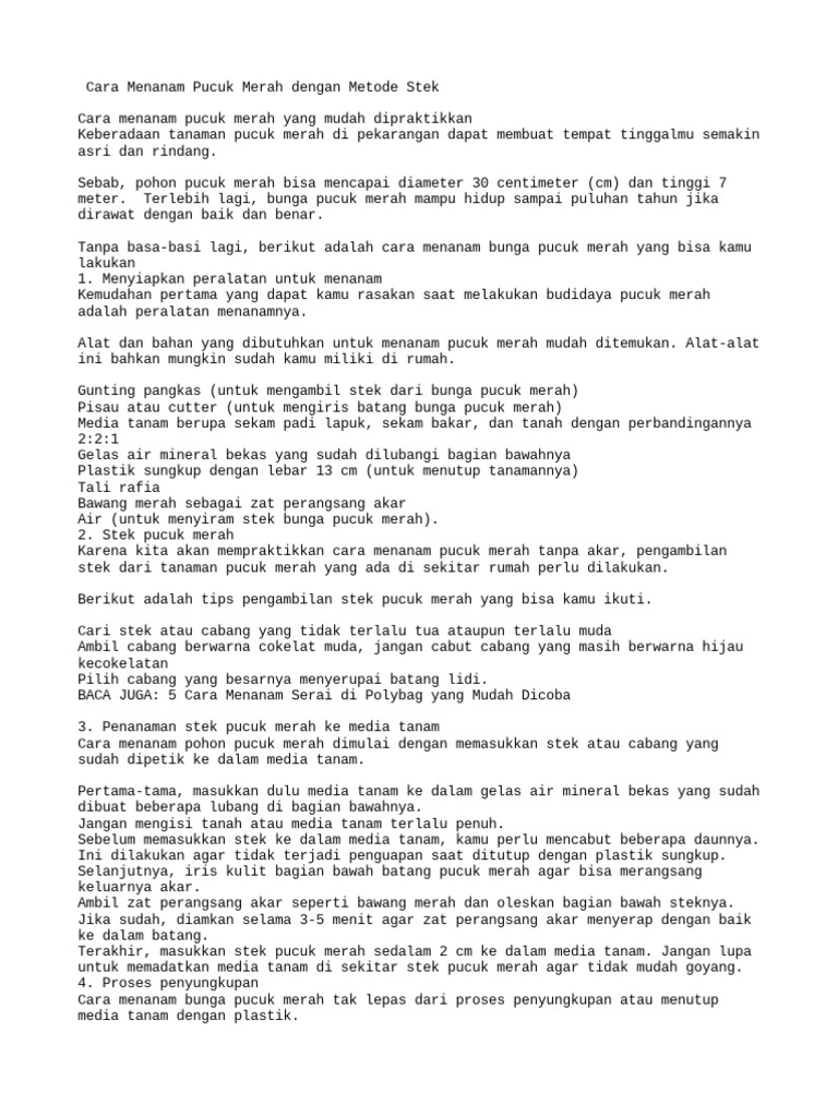 MENANAM PUCUK MERAH DENGAN STEK | PDF
