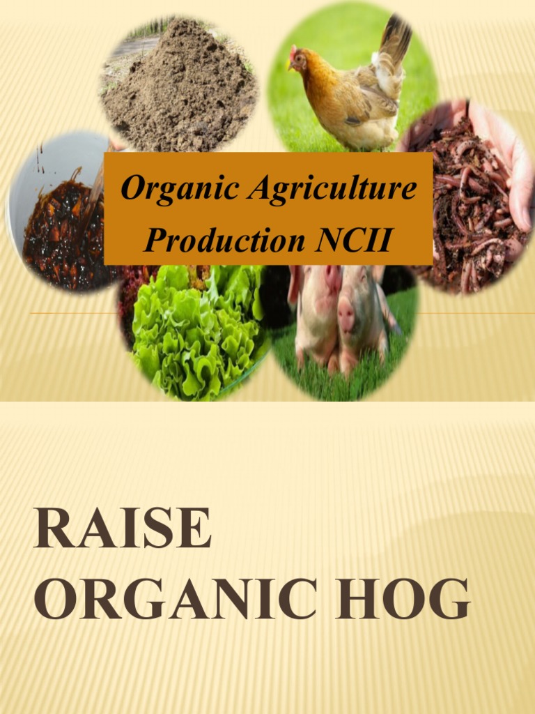 10. Raise Organic Hogs | PDF | Pig | Soybean