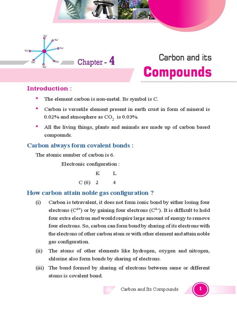 Class 10 Chemistry: Carbon Compounds | PDF | Chemical Bond | Functional ...