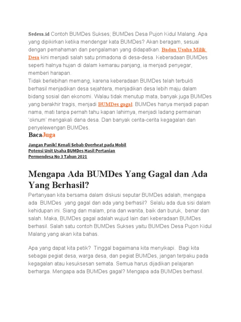 Contoh Bumdesa Yang Berhasil | PDF