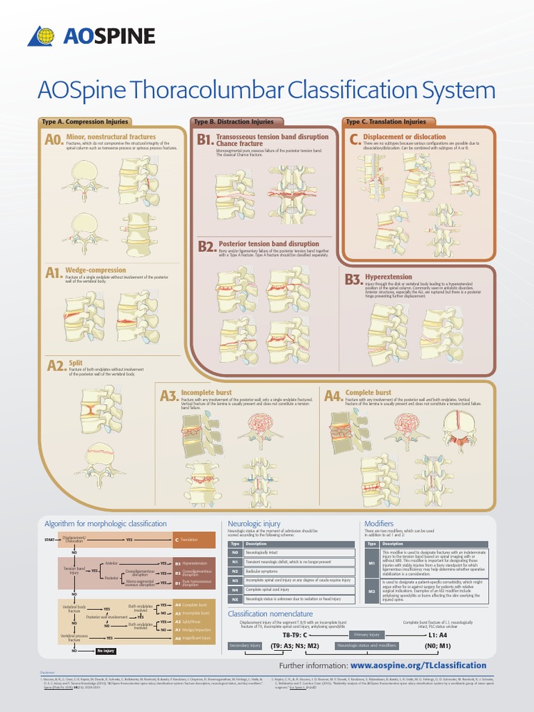 AO Clasiffication of Thoracolumbar Spine Fracture | PDF | Vertebra ...