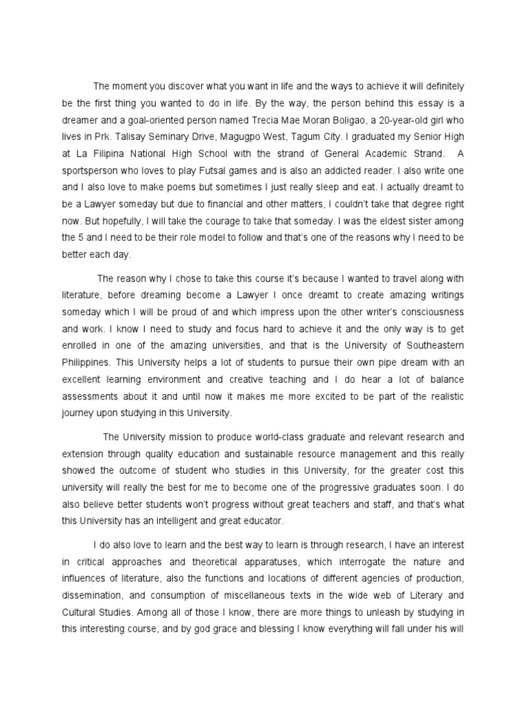 Essay | PDF | Dream | University