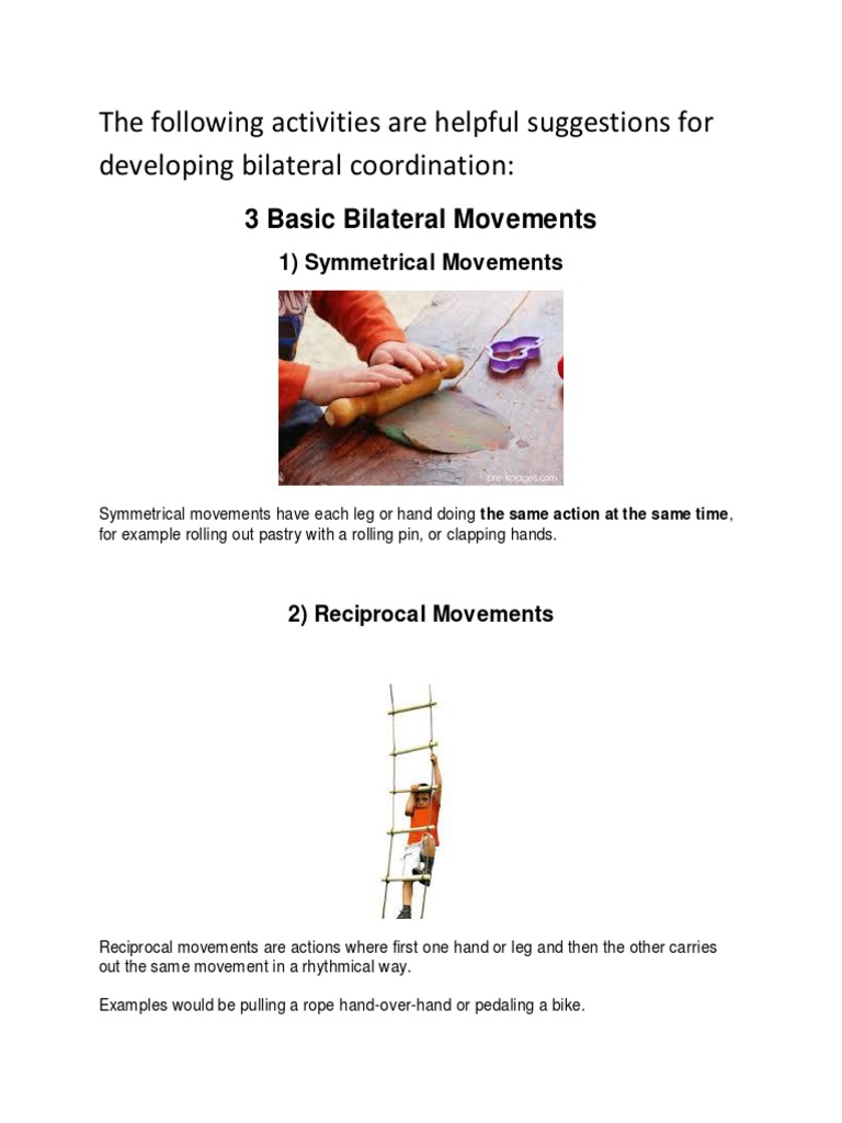 3 Basic Bilateral Movements | PDF