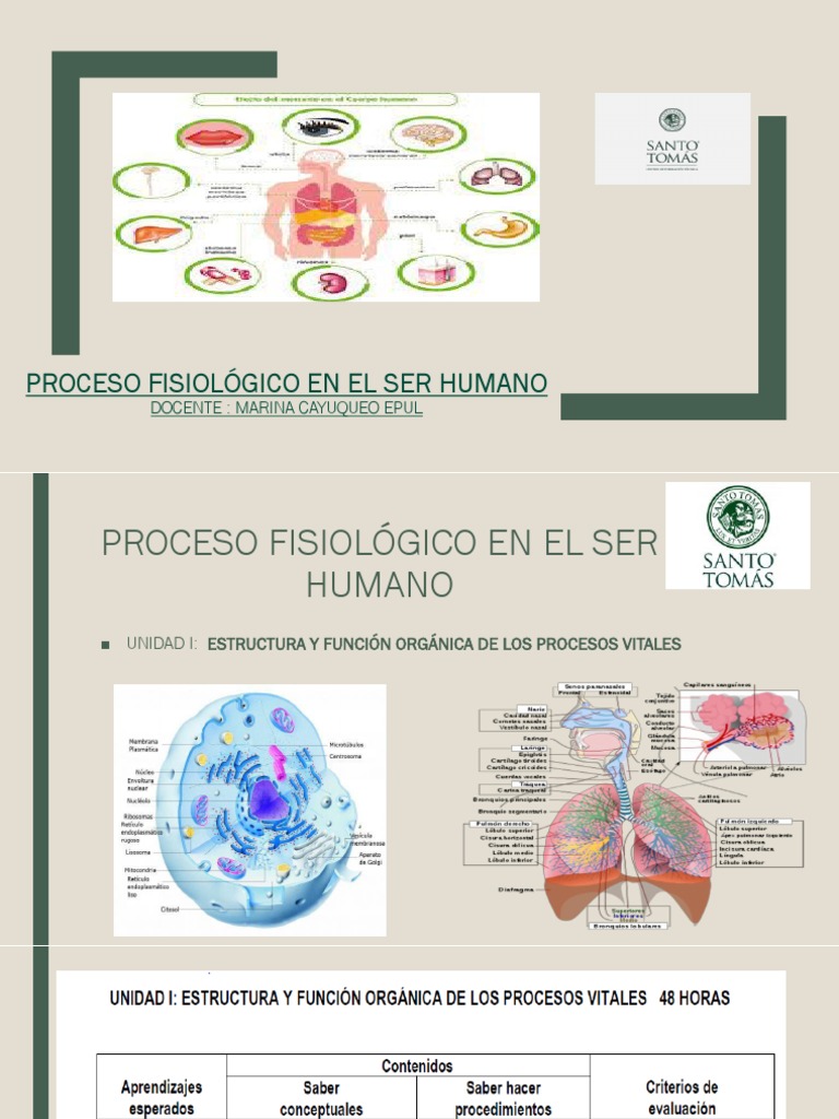 00 - Presentacion Procesos Fisiologicos | PDF