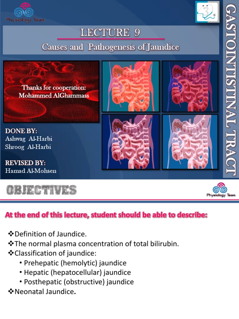 L9 - Pathogenesis of Jaundice | PDF | Liver | Organ (Anatomy)