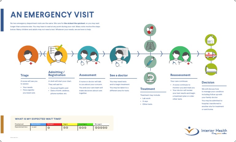 Understanding Emergency Department Visits | PDF | Emergency Department ...