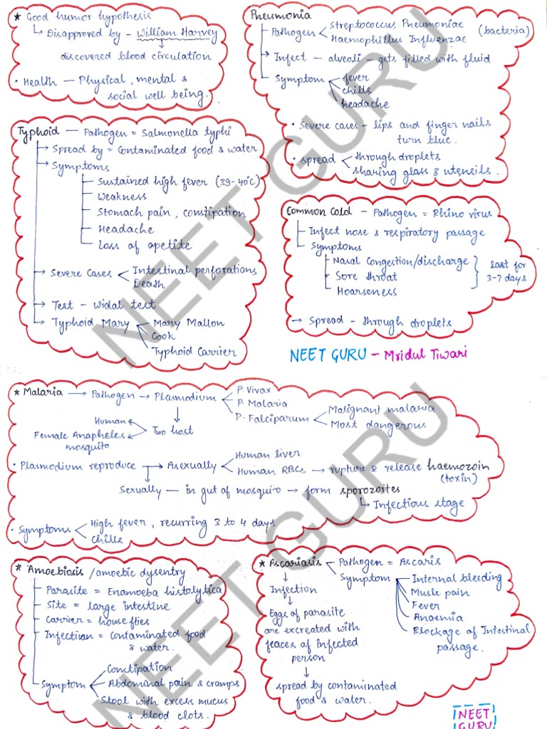 Chap 8 Human Health and Disease Class 12 NEET | PDF | Immune System ...