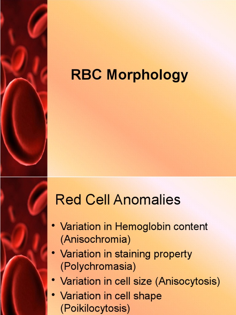 RBC Morphology for Hematologists | PDF | Anemia | Red Blood Cell
