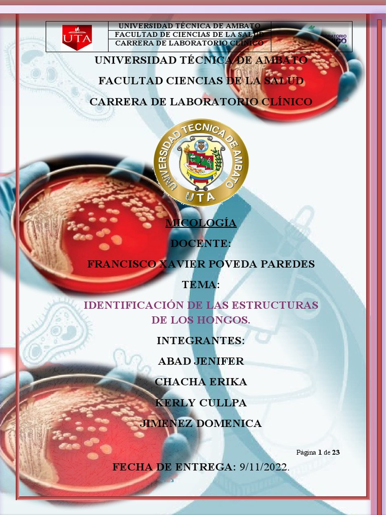 Informe 1 Mico | PDF | Hongo | Tinción