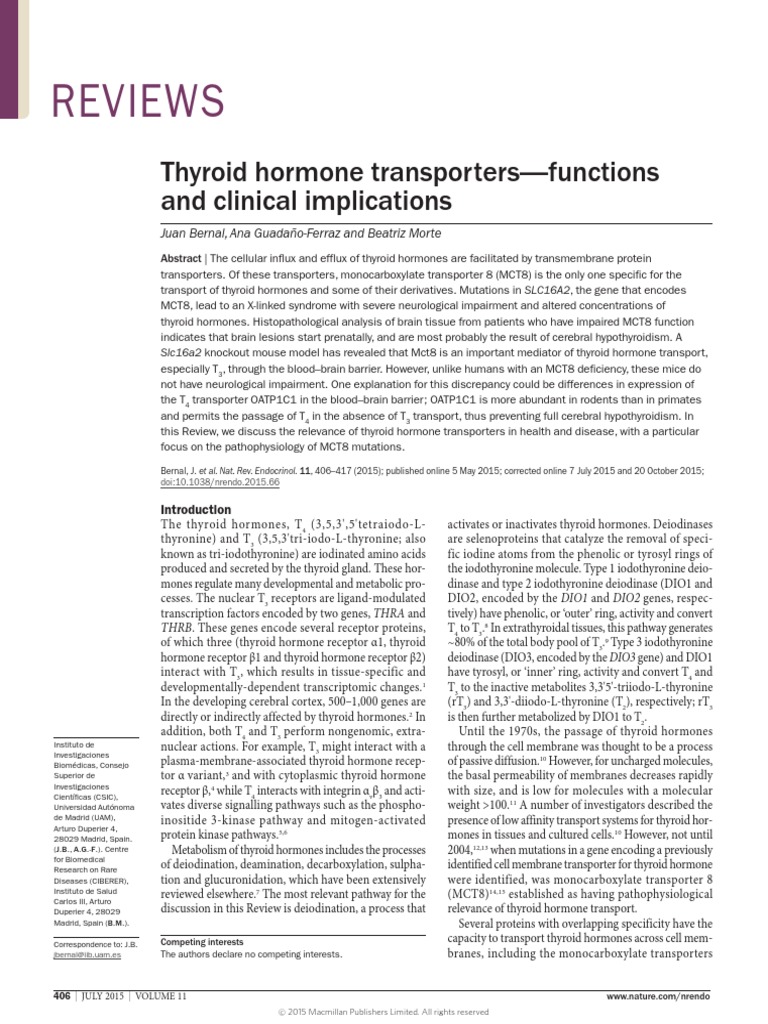 Thyroid Hormone Transporters Functional and Cinical Aplications | PDF ...
