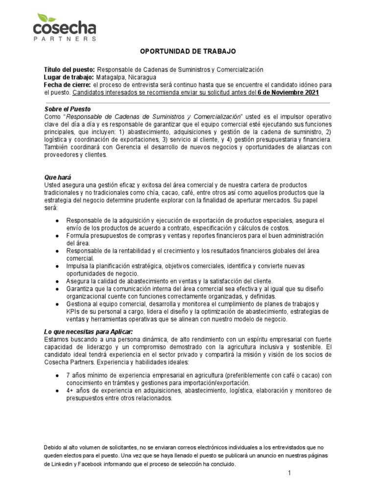 Manager 2021 Job Description Spanish 3 | PDF | Logística | Marketing
