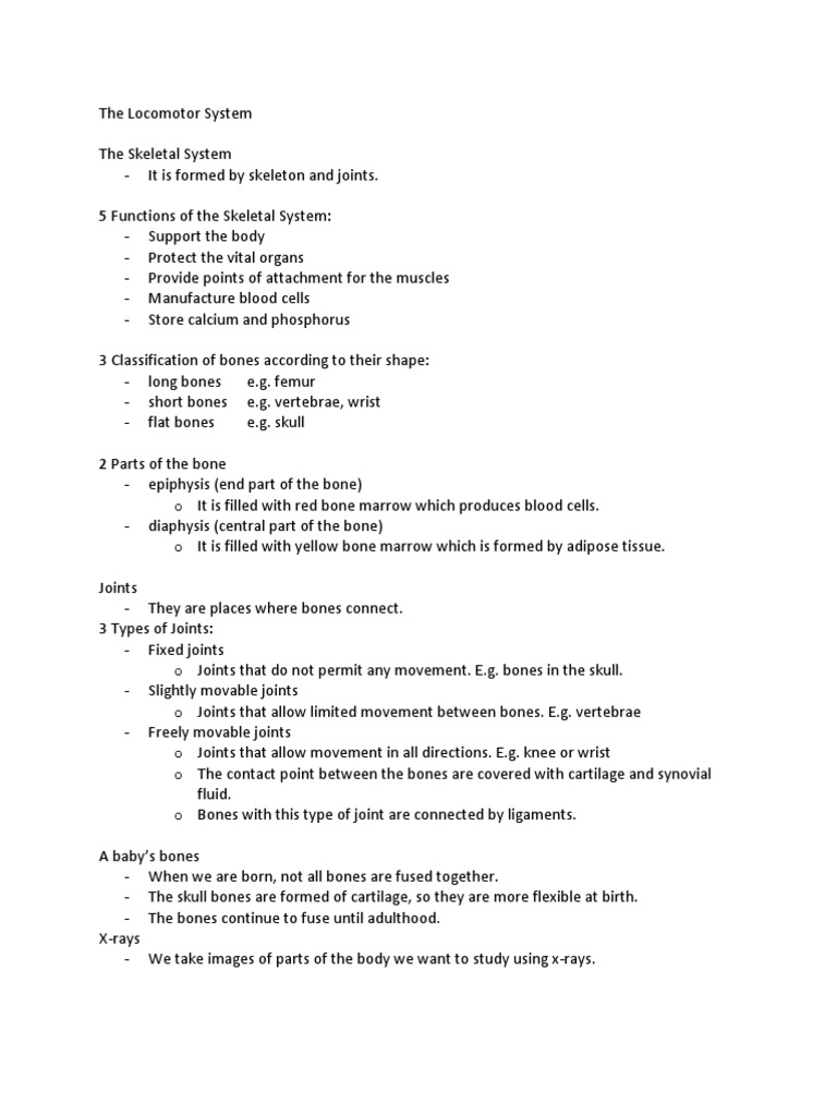 The Locomotor System | PDF | Human Musculoskeletal System | Bone
