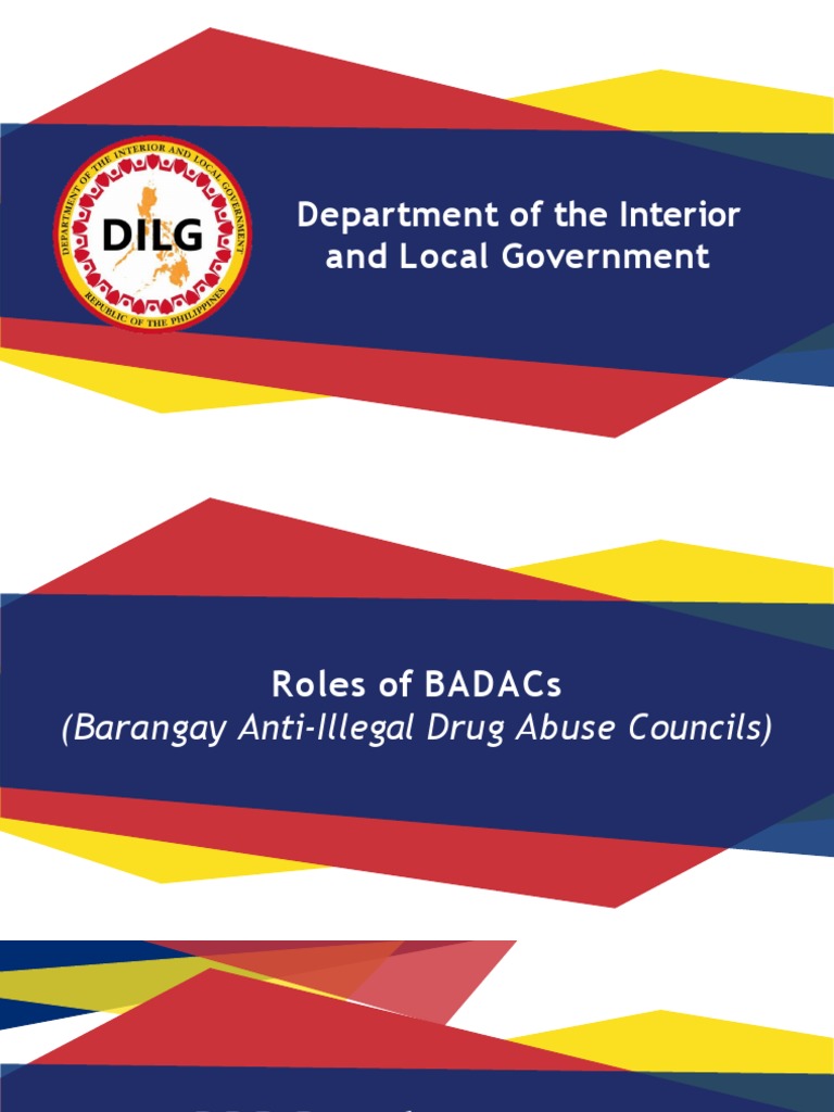 DILG Roles of The BADAC | PDF | Health Care | Health Sciences