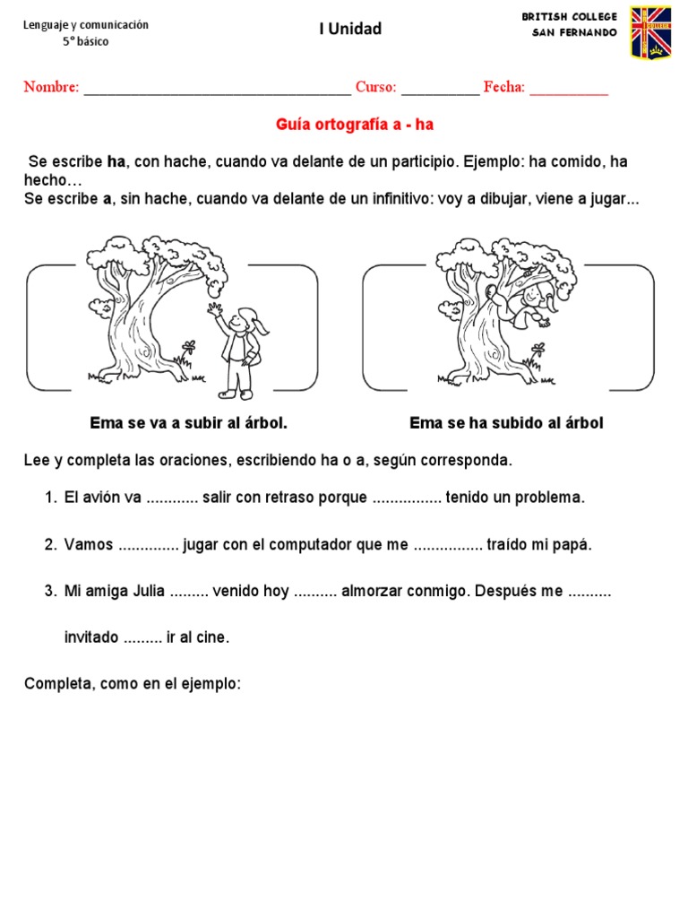 Guía Lenguaje 5° Basico Hecho - Echo | PDF