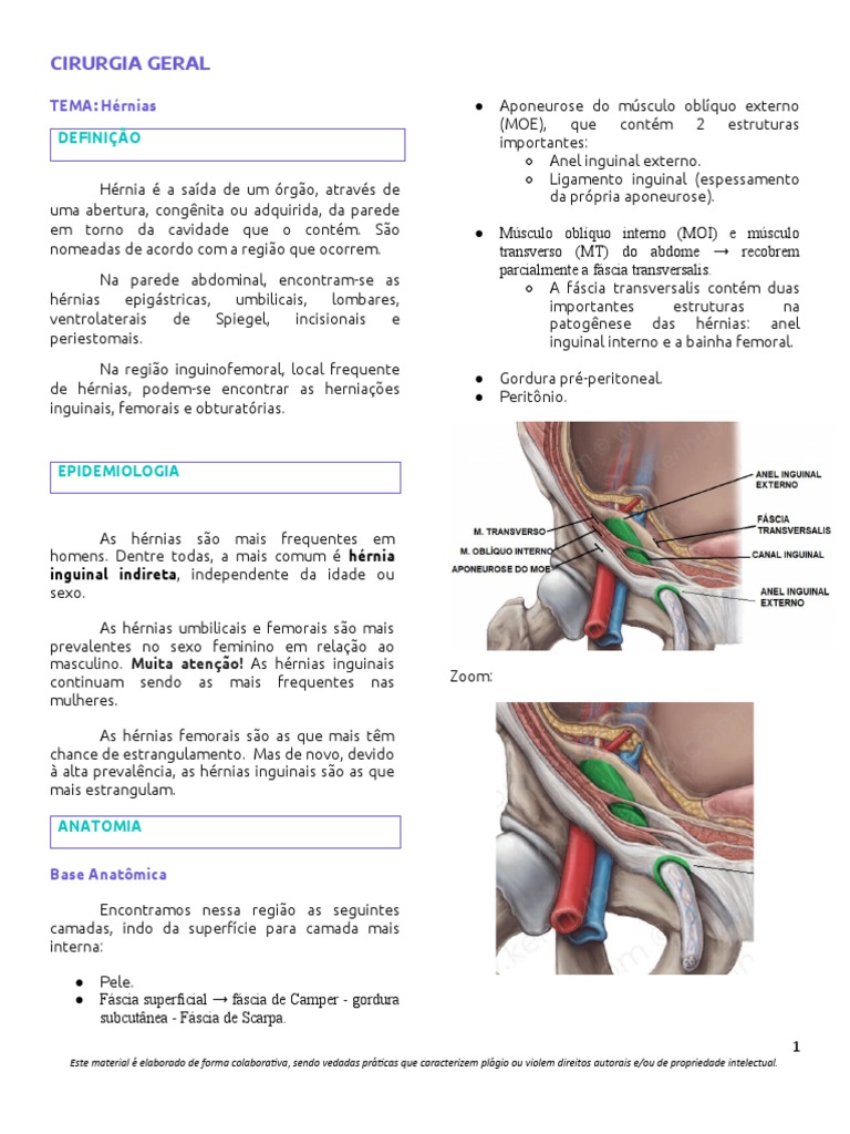 Uma visão completa das hérnias abdominais: definições, anatomia, tipos ...