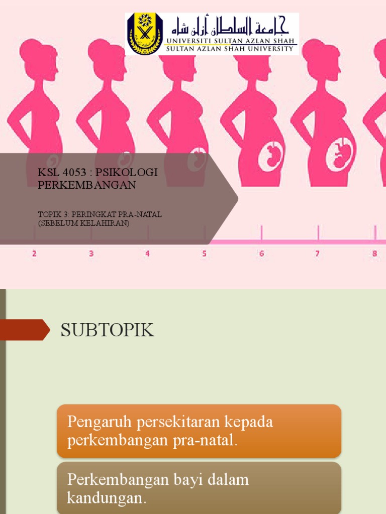 KSL 6063 Topik 3 - Peringkat Pra-Natal (Sebelum Kelahiran) | PDF