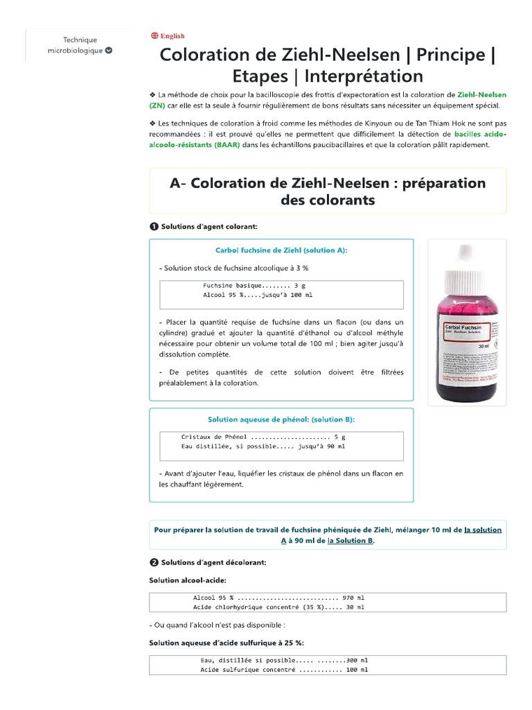 Coloration de Ziehl-Neelsen _ Principe _ Etapes _ Interprétation | PDF