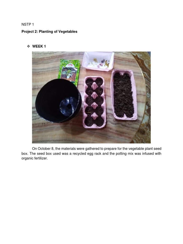 NSTP Planting of Vegetables | PDF