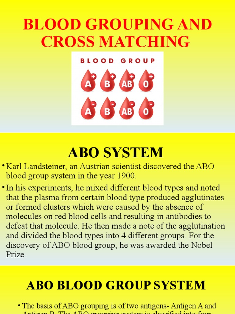 Blood Grouping and Cross Matching Guide | PDF