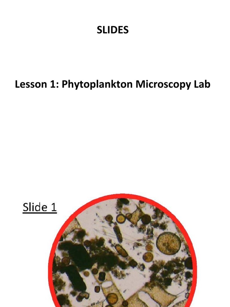 Phytoplankton Microscopy Lab | PDF