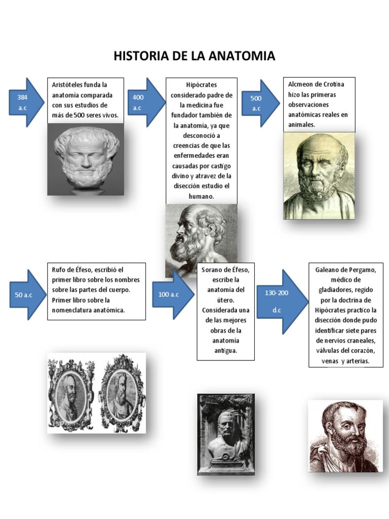 Historia de la Anatomía Comparada | PDF | Anatomía | Medicina