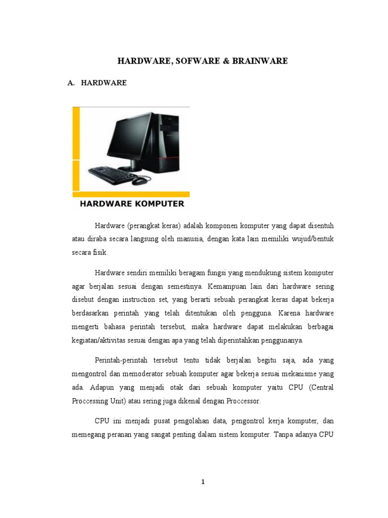 Hardware Software and Brainware | PDF
