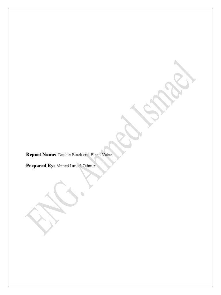 DBBV | PDF | Valve | Energy Technology