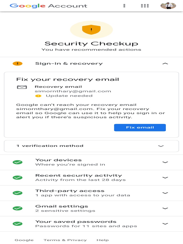 Security Checkup | PDF