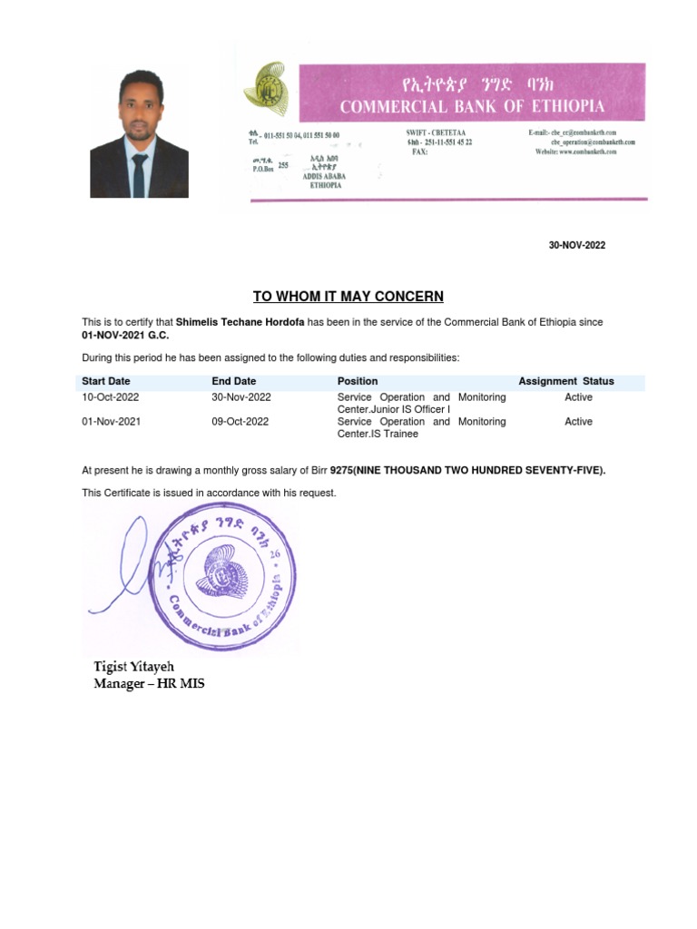 Employment Verification for Shimelis | PDF