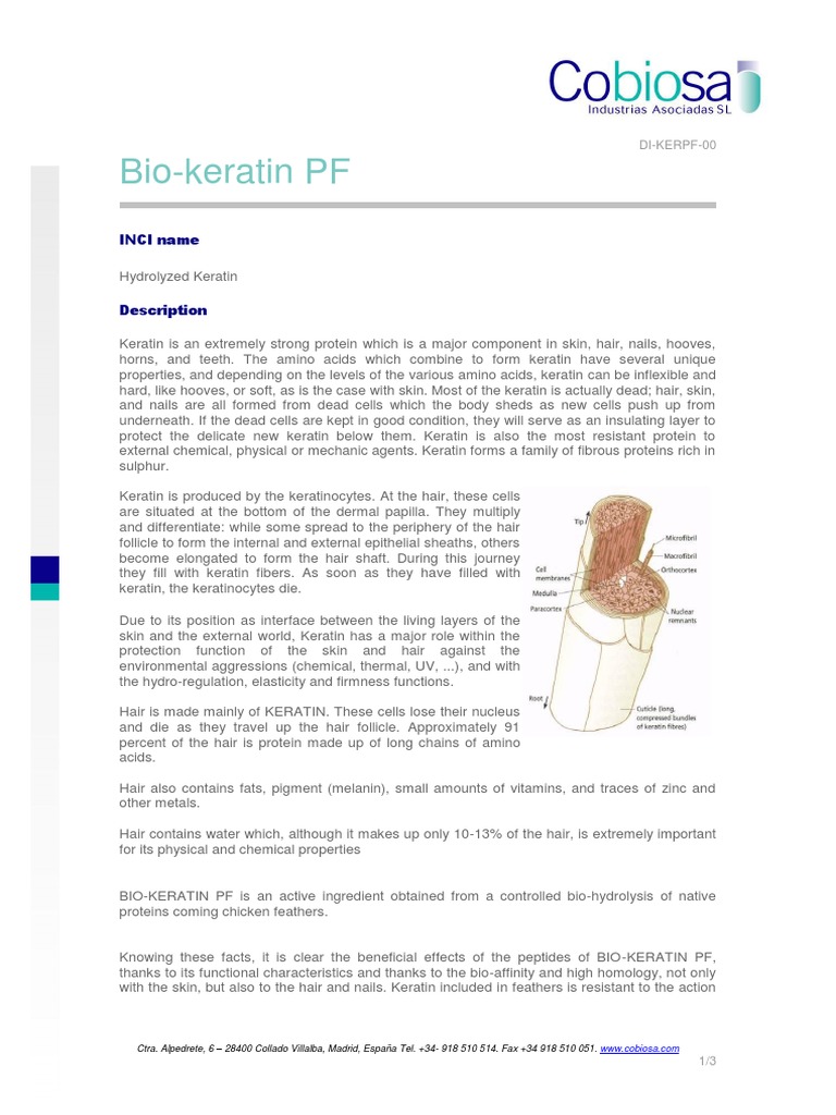 Bio Keratin PF - Dossier I Rev00 | PDF | Skin | Hair