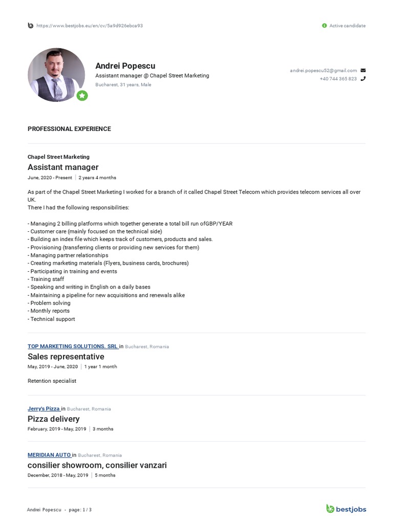 Andrei Popescu CV English | PDF | Sales | Economies