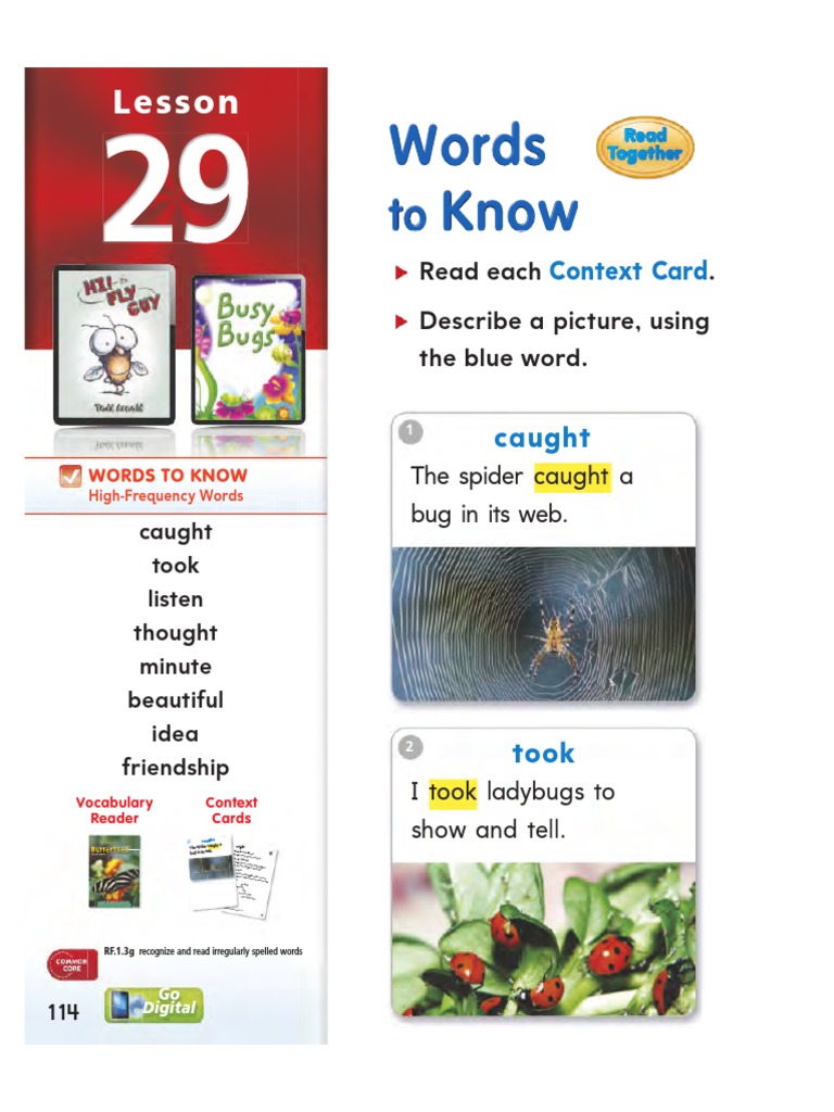 Hi Fly Guy | PDF | Adverb | Linguistics